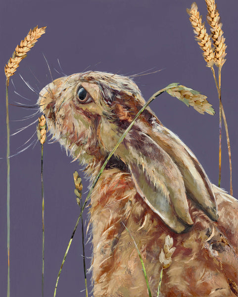 Fauna – Jackson & Young